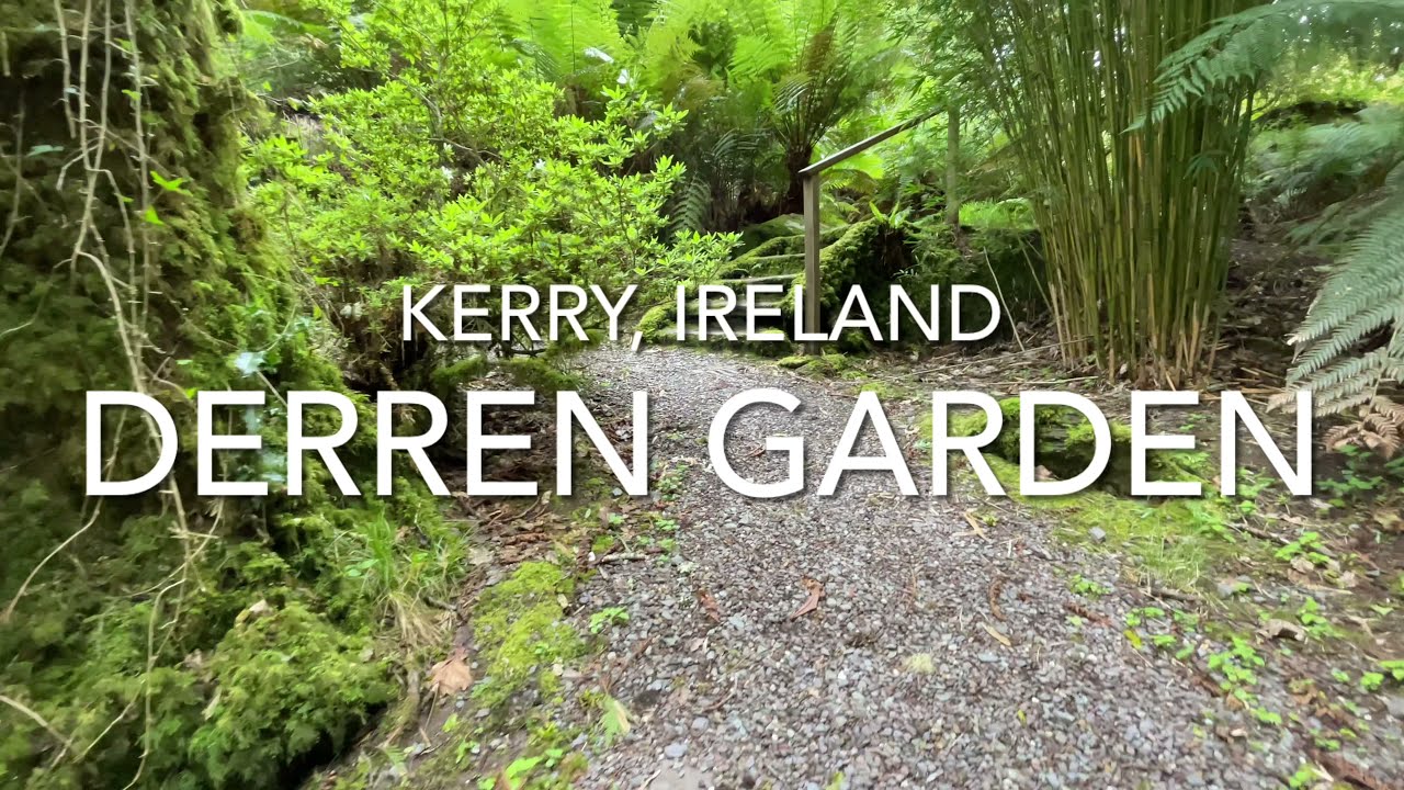 Derreen Gardens, Kerry, Ireland (4K) - YouTube
