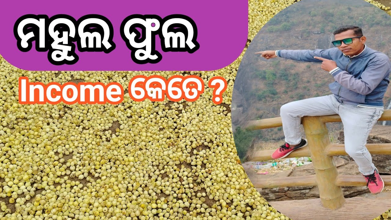 Mahula phula (ମହୁଲ ଫୁଲ)##Mahul phula Yatra ##Mahulaphula recipe ## ...