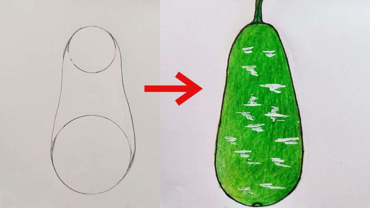bottle gourd drawing // vegetables drawing easy // লাউ আঁকার কৌশল - YouTube