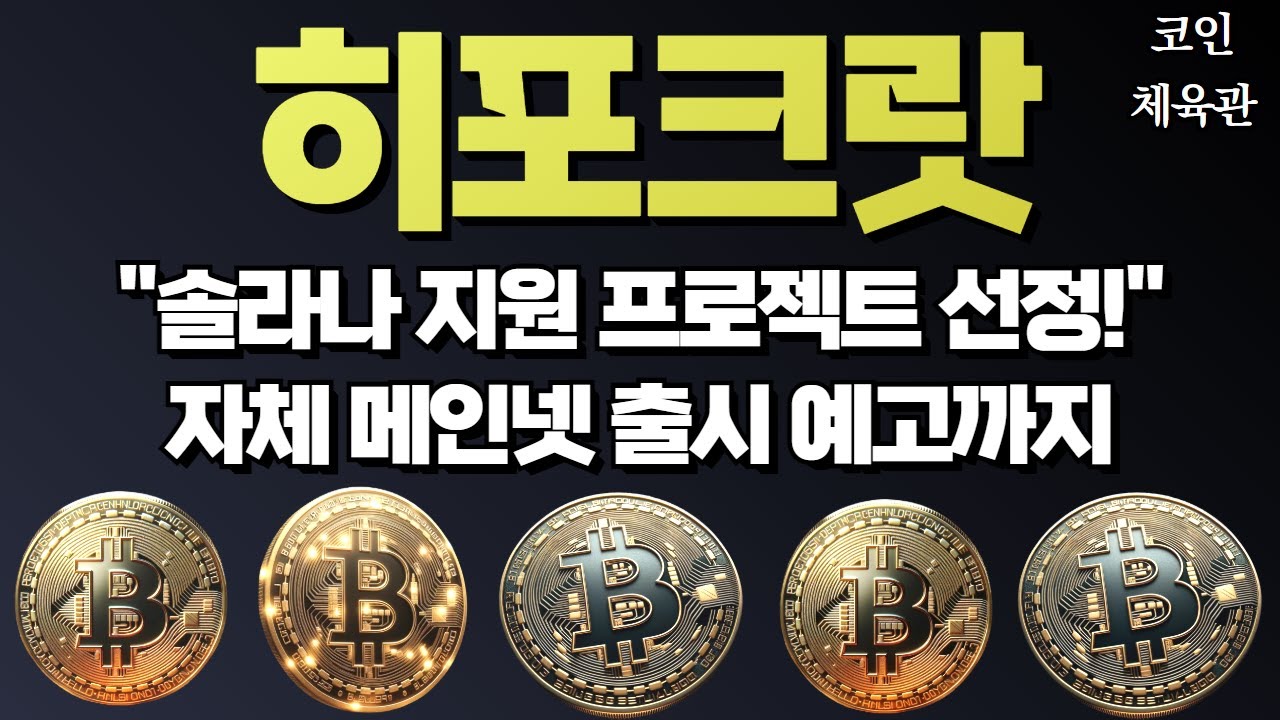 히포크랏 코인 솔라나 지원 프로젝트 선정 자체 메인넷 출시 예고까지 히포크랏코인 히포크랏코인호재 히포크랏코인전망 히포크랏코인시세 히포크랏코인가격 Youtube