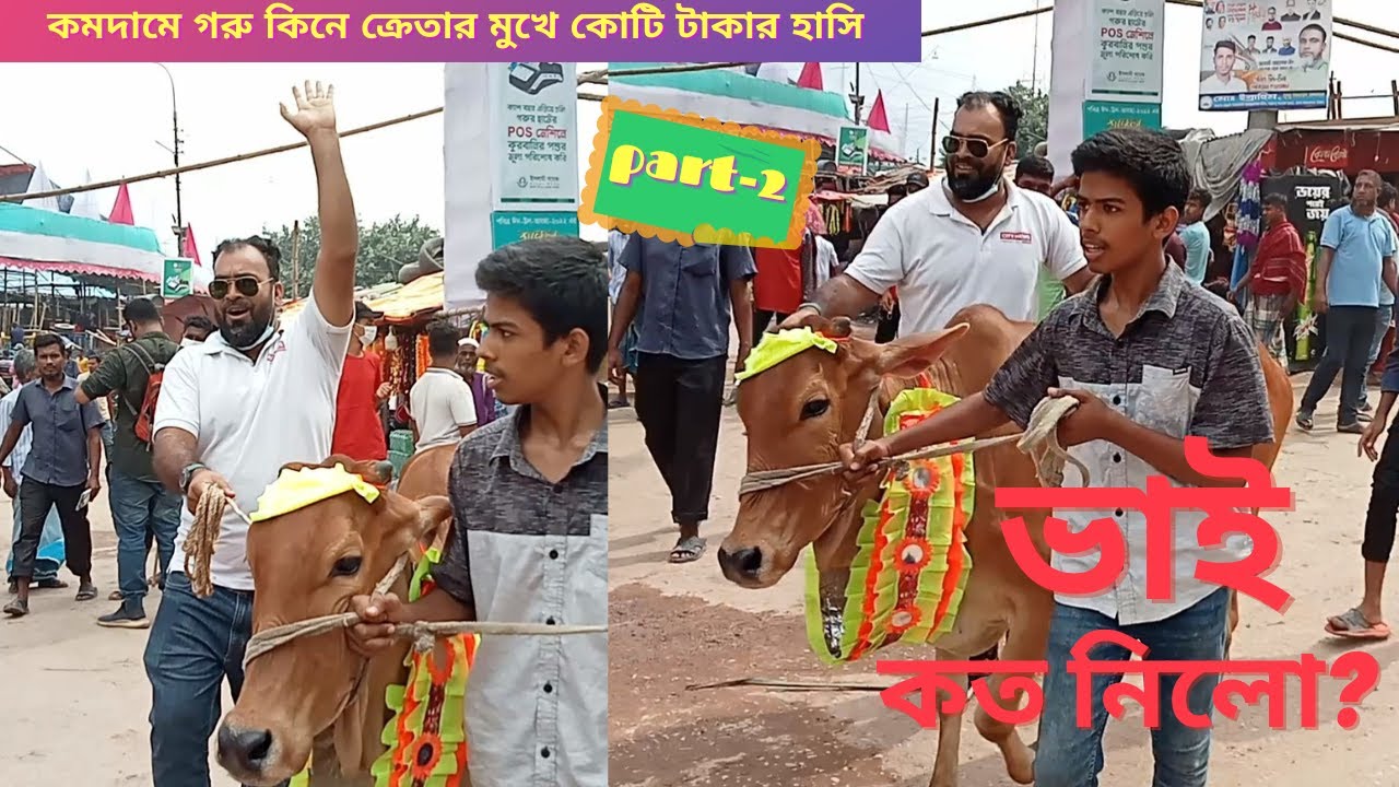 Big Crazy Cow In The World || Latest Cow Price In Dhaka | Khamar Bangla ...