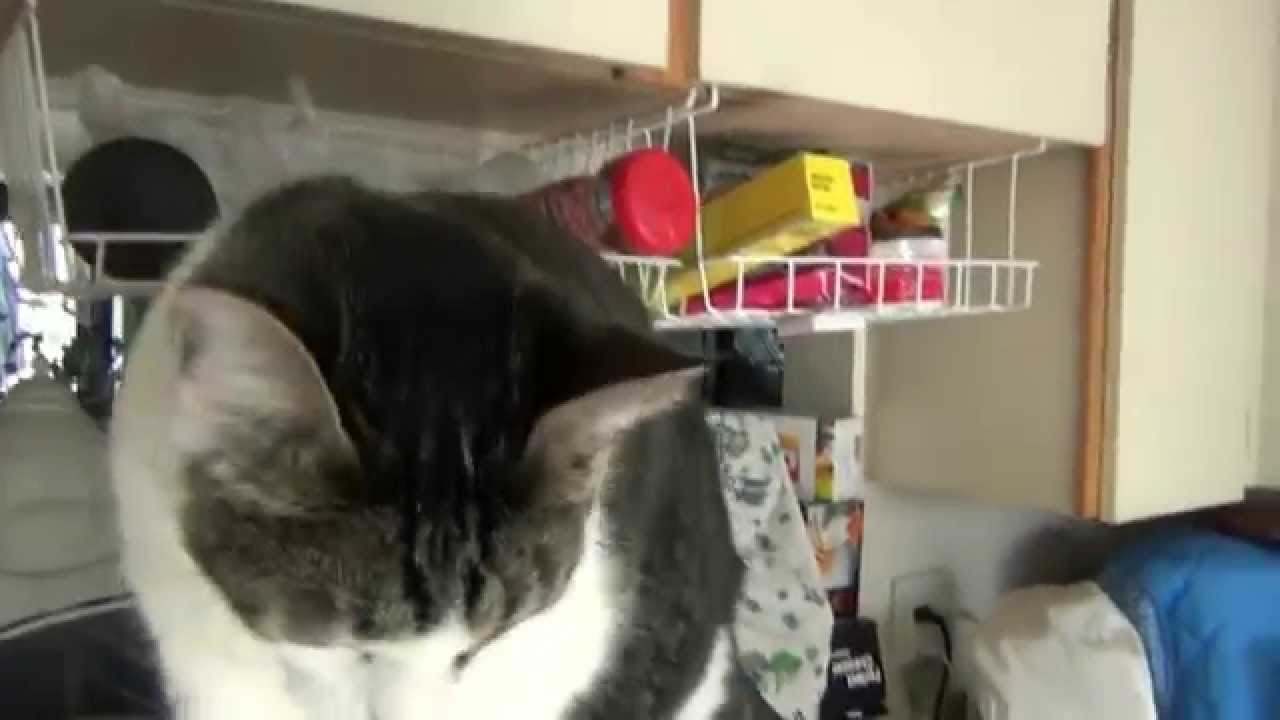 Batoot and his rise to the top. - YouTube