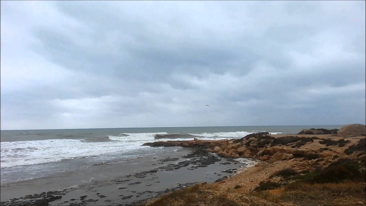 Dear Father - Neil Diamond - Juan Salvador Gaviota HD - YouTube