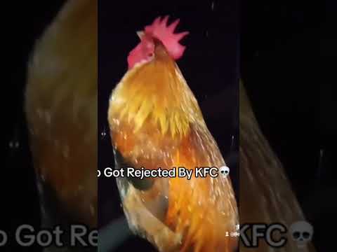 Rip chicken - YouTube