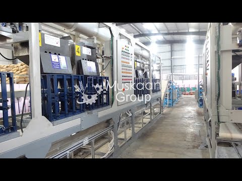 Automatic Cashew Nut  Shelling Machine  - Muskaan Group