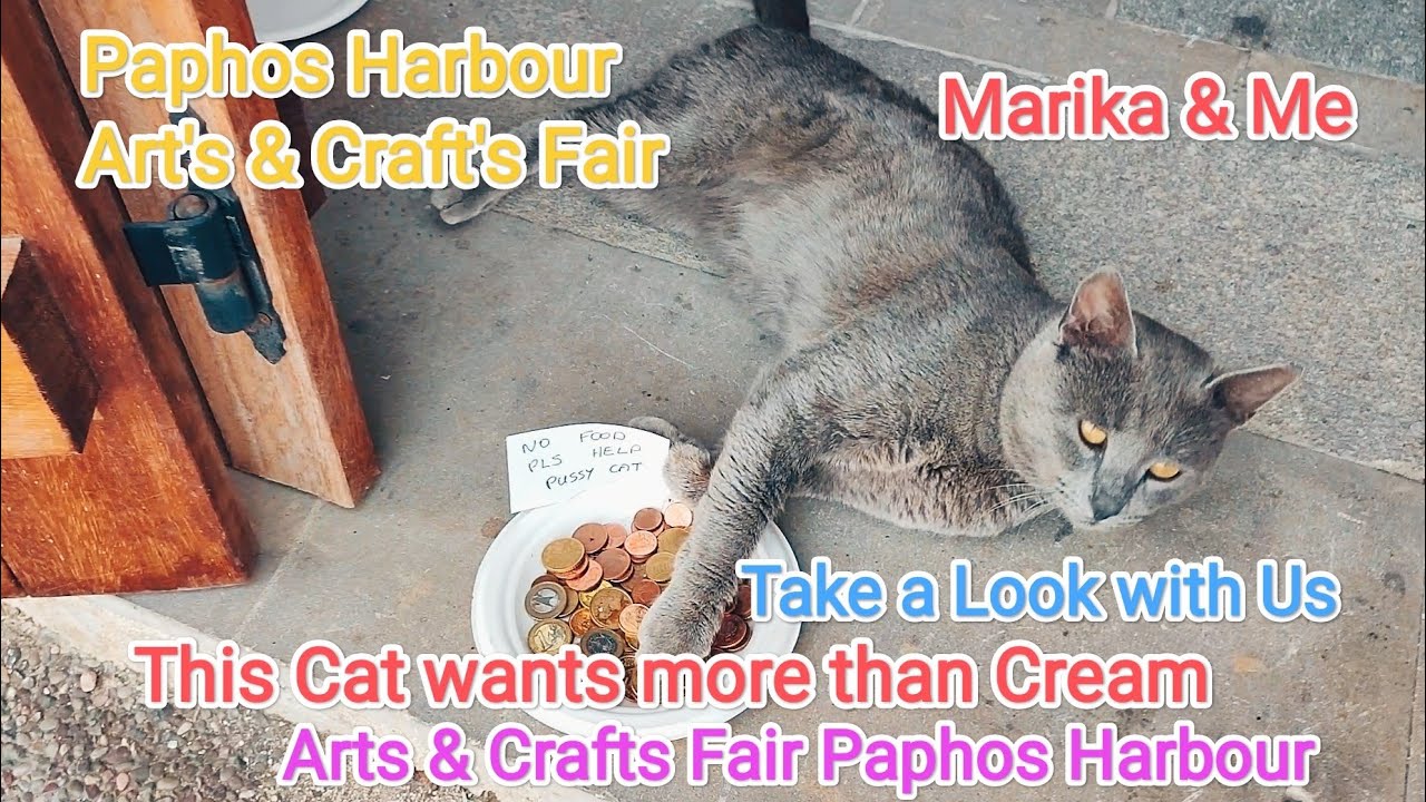 The Cat's in Charge @ The Arts & Crafts Fair.. Paphos Harbour Cyprus ...