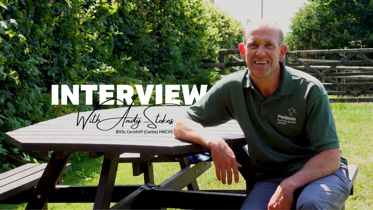 Interview with Andy Stokes Farm Clinical Director - YouTube