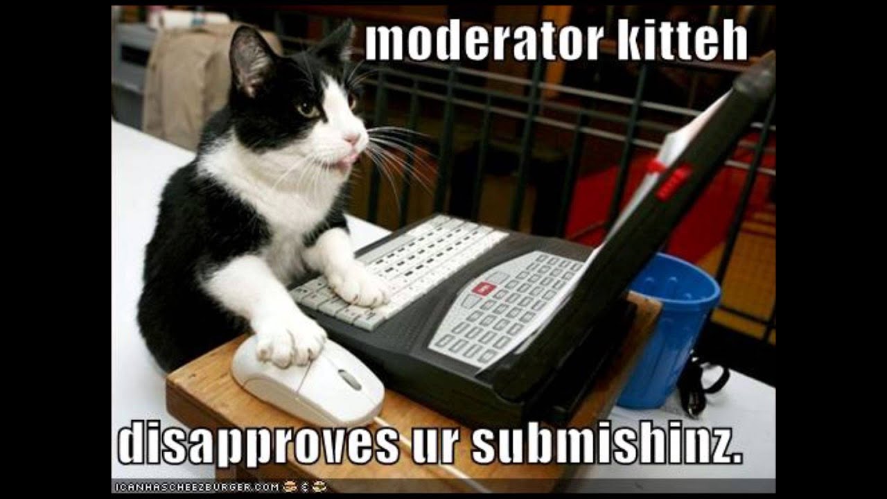 LOLCat Man - YouTube