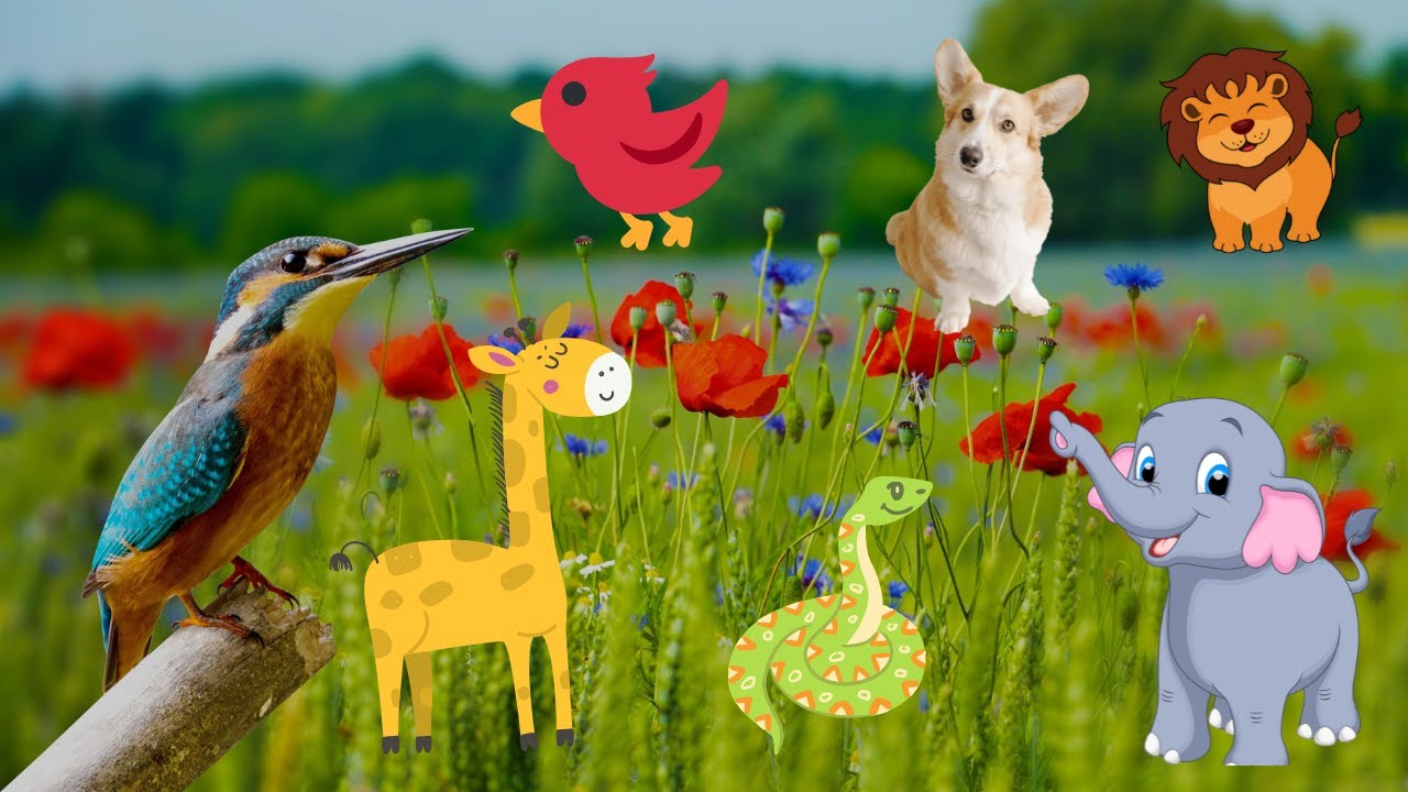 Animals for Kids to Learn - 100 Animals for Kids - Educational Video # ...