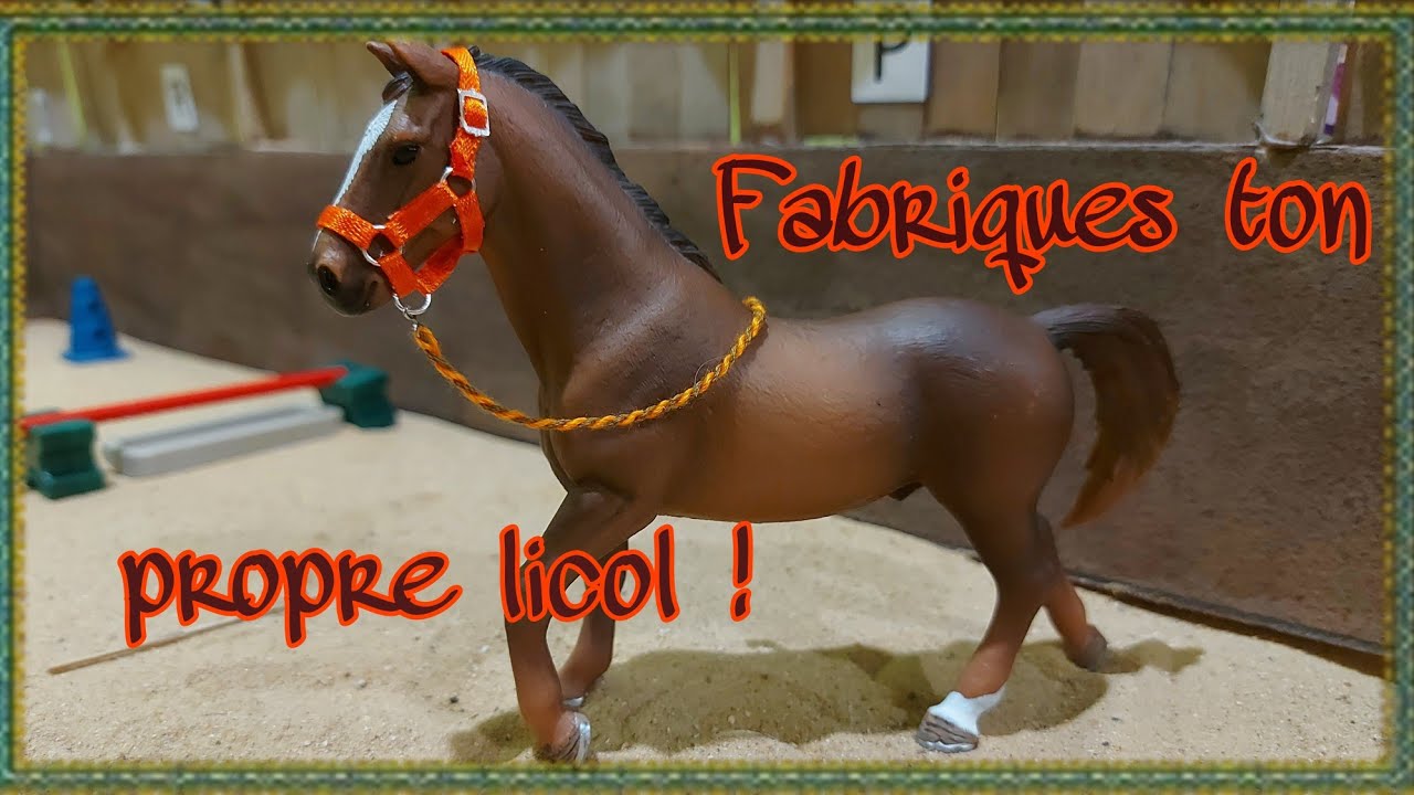 [Tuto] Fabriques ton propre licol avec mon kit complet ! - YouTube