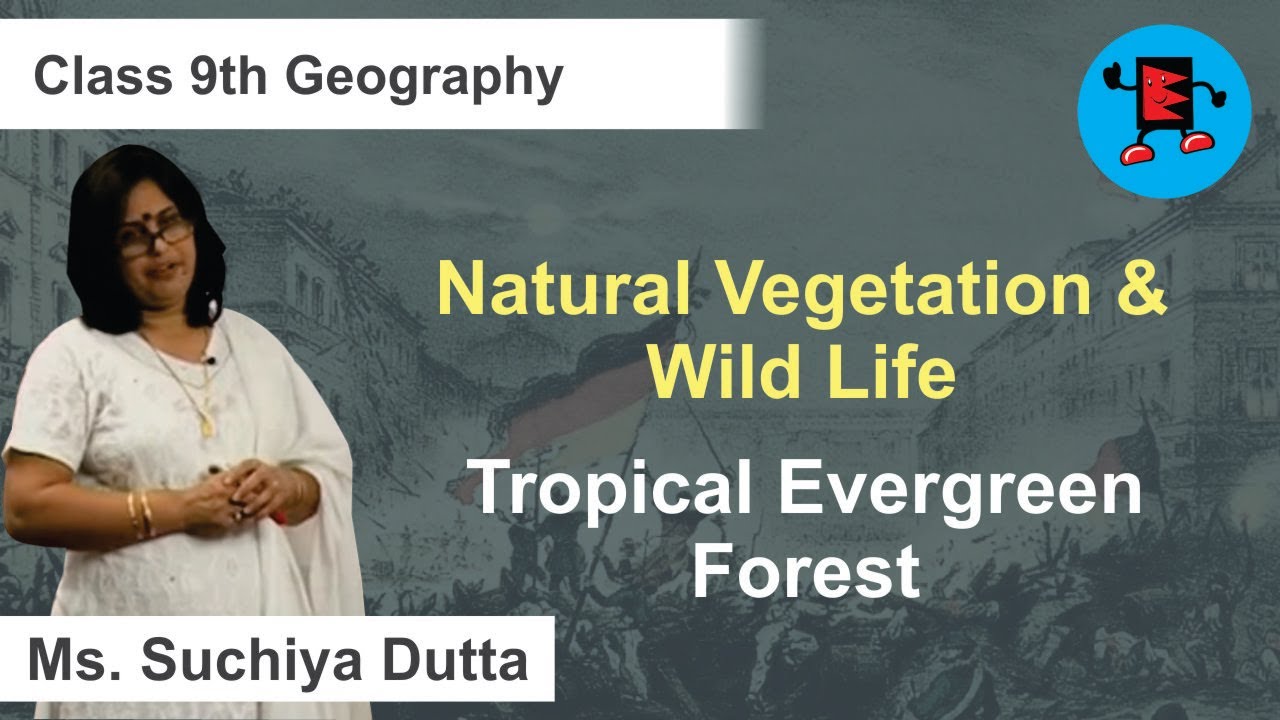 CBSE Class 9 Geography Natural Vegetation & Wild Life Tropical ...