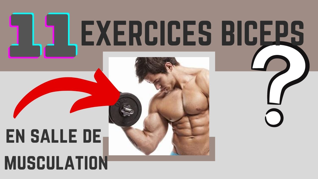 11 Exercices BICEPS à faire en salle de MUSCULATION - YouTube