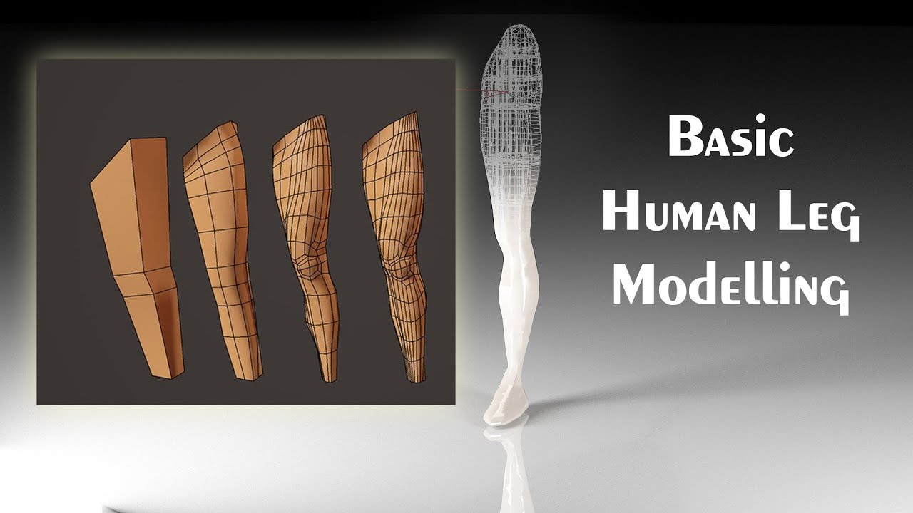 3ds Max Tutorial Modeling Human Leg - YouTube