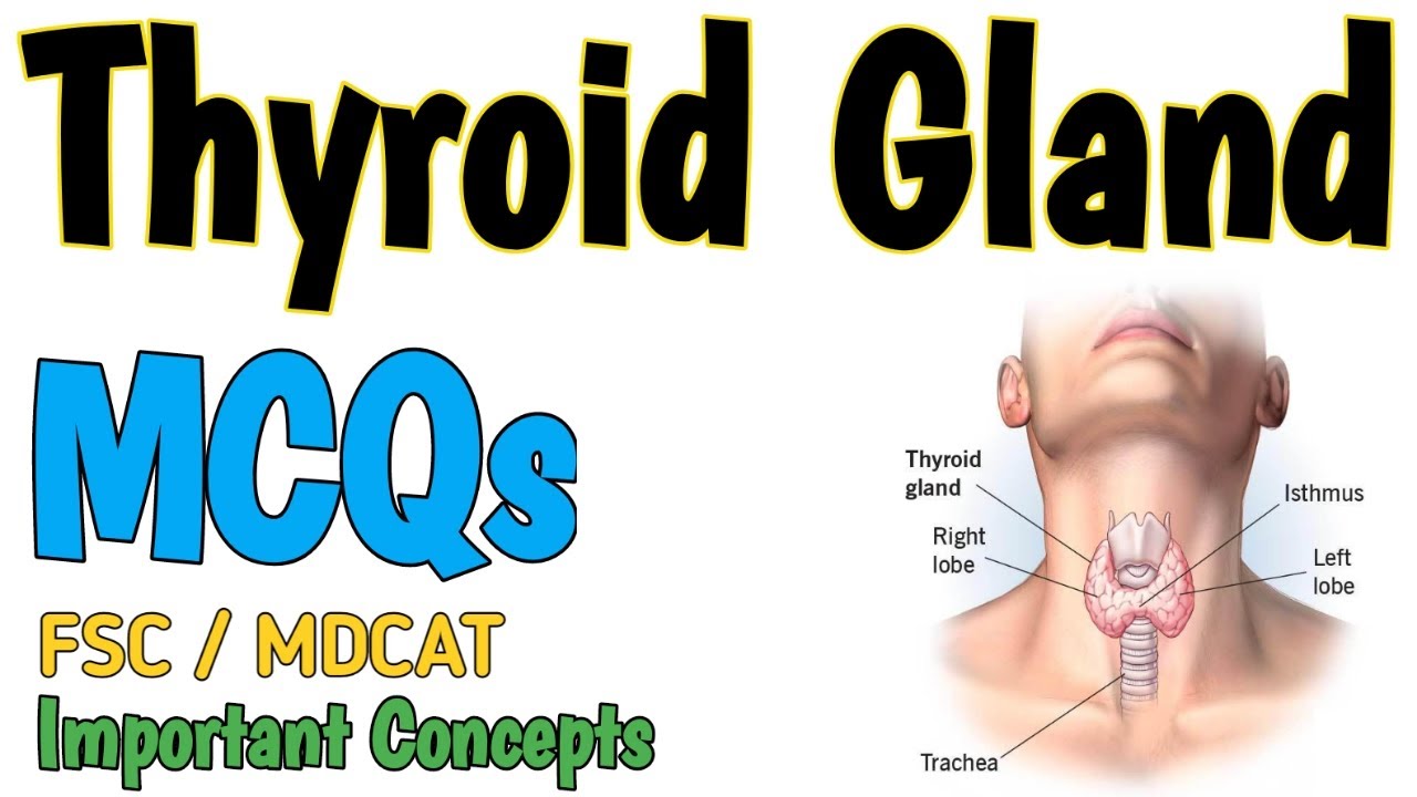 THYROID GLAND | MCQS | CHEMICAL COORDINATION | FSC BIOLOGY and MDCAT ...