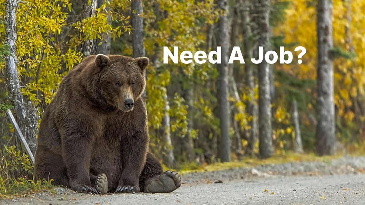 How to get job irl - YouTube