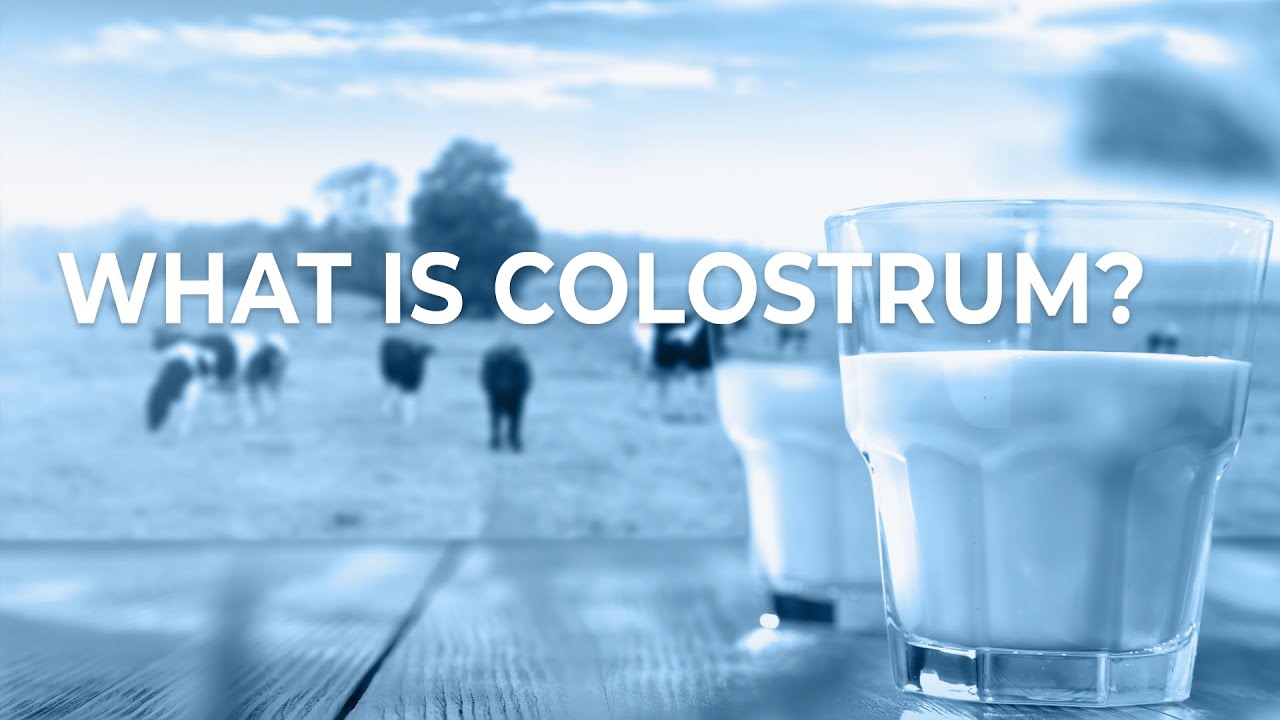 What is Colostrum - YouTube