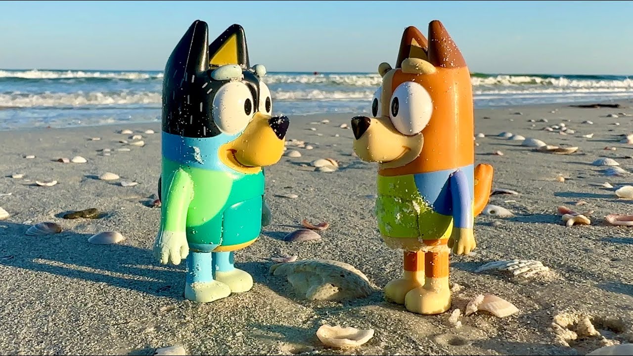 The Beach | playtime with Bluey | Bluey toys pretend play - YouTube