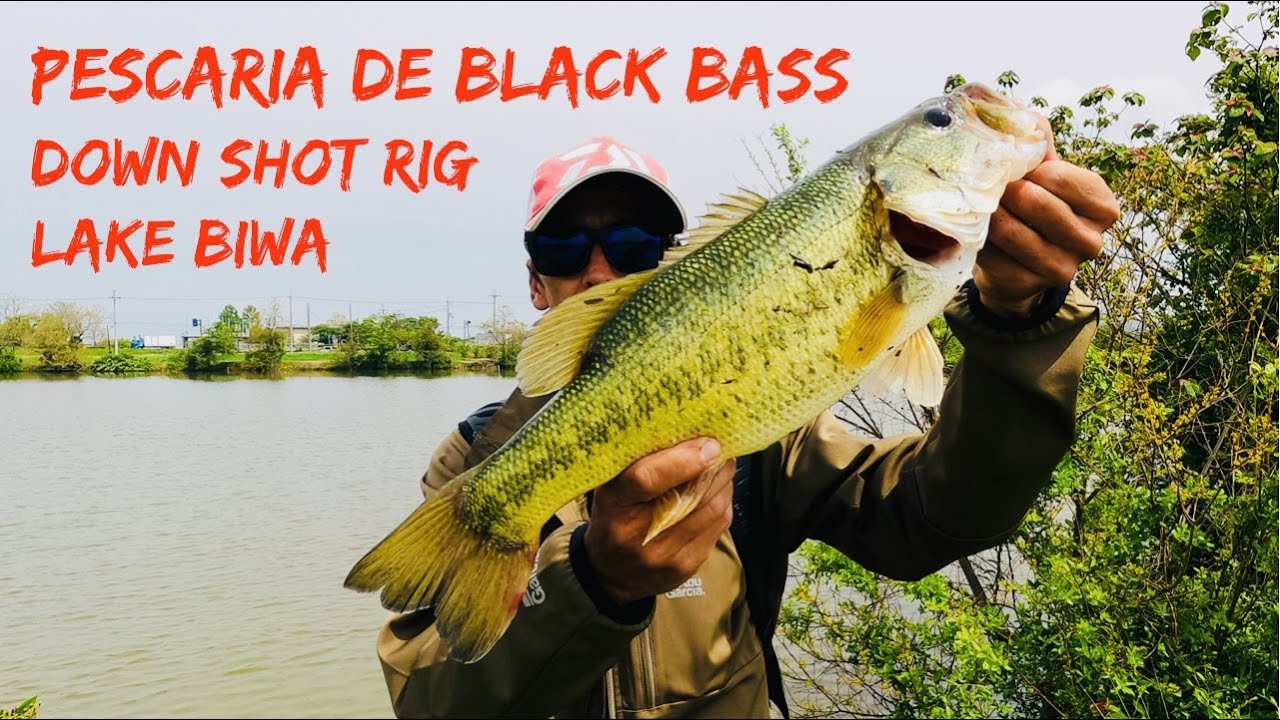 FINESSE FISHING STYLE - PESCARIA DE BLACK BASS - SISTEMA DOWN SHOT RIG ...