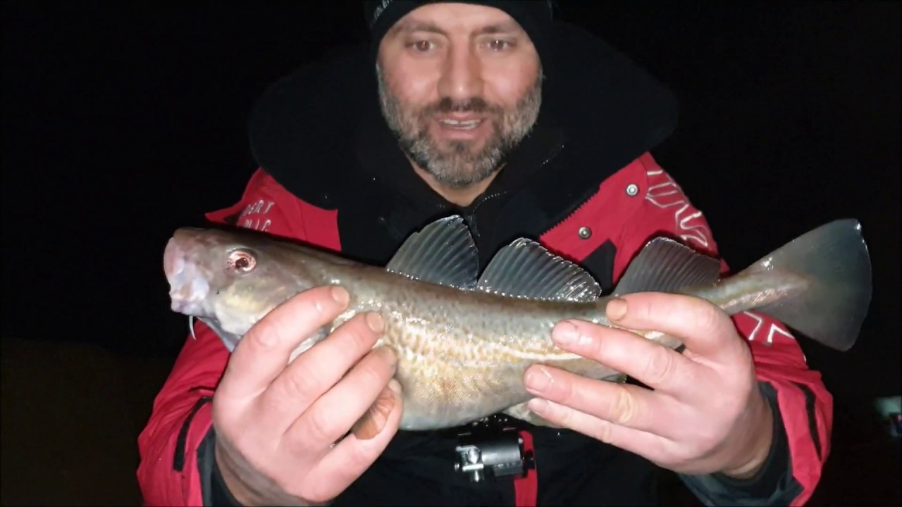 How to pump blow lugworm & Cod fishing - Massive fish attacked the cod ...