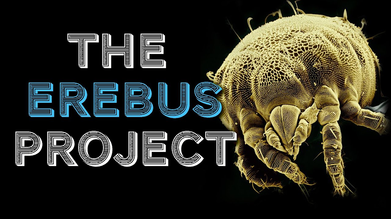 THE EREBUS PROJECT | by The Vespers Bell | Creepypasta - YouTube