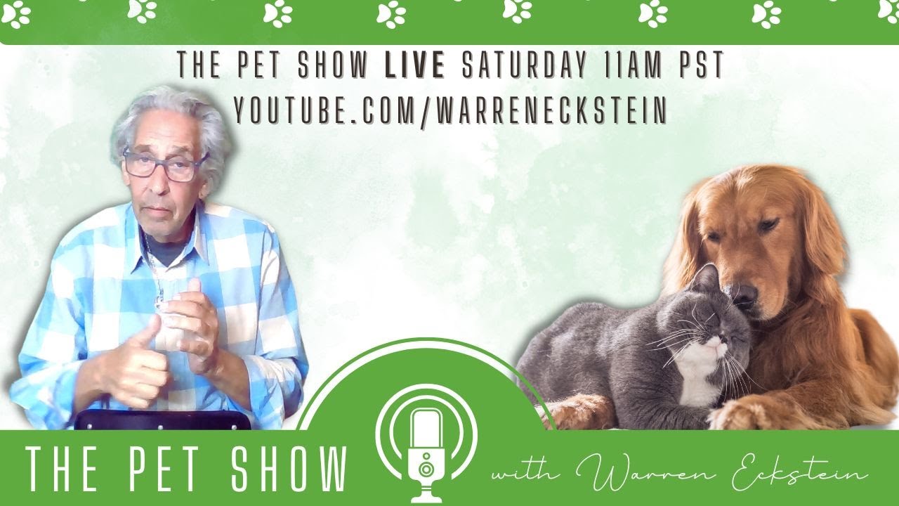 The Pet Show Update 5 12 23 - YouTube