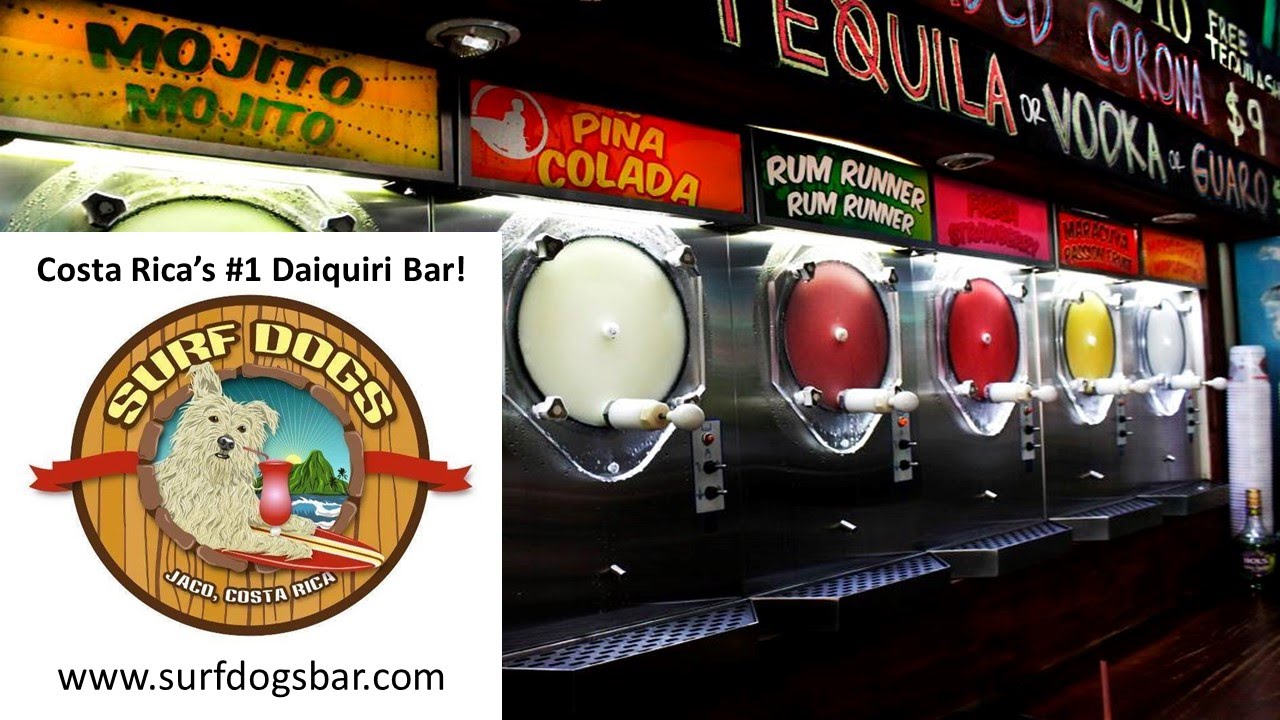 Surf Dogs Daiquiri Bar in Jaco, Costa Rica Presents Watusi Reggae - YouTube