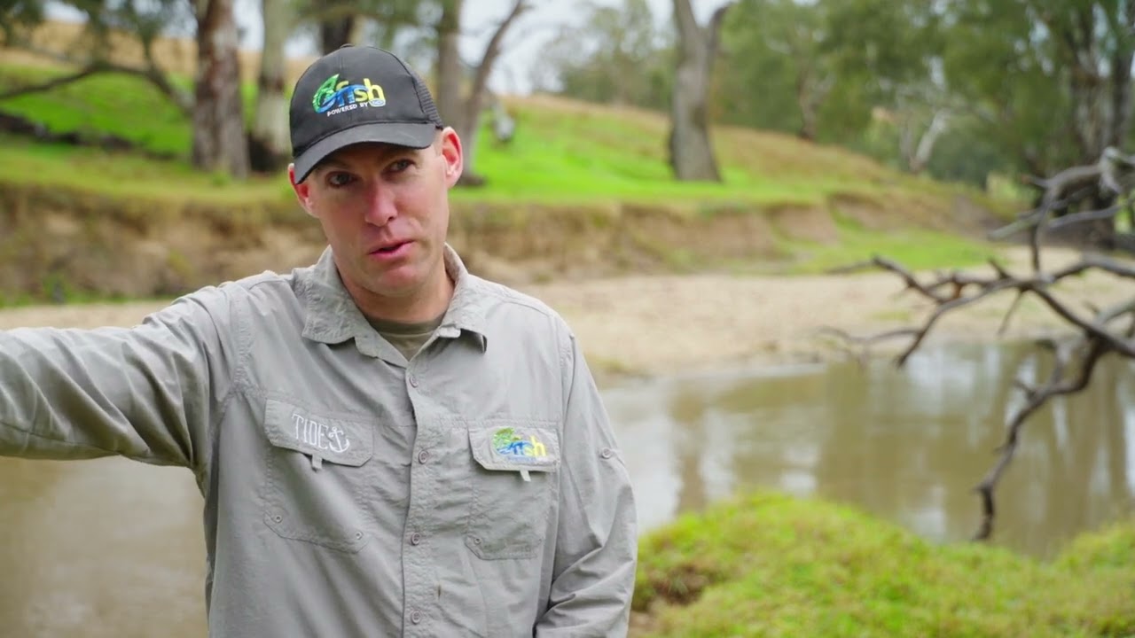 Transgrid Community Partnerships - Ozfish Wagga - YouTube