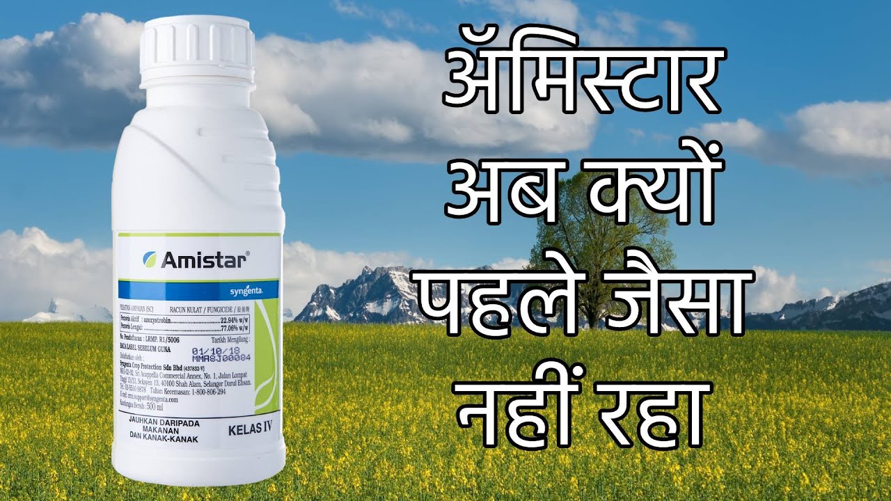 Amistar Fungicide/amistar syngenta - YouTube