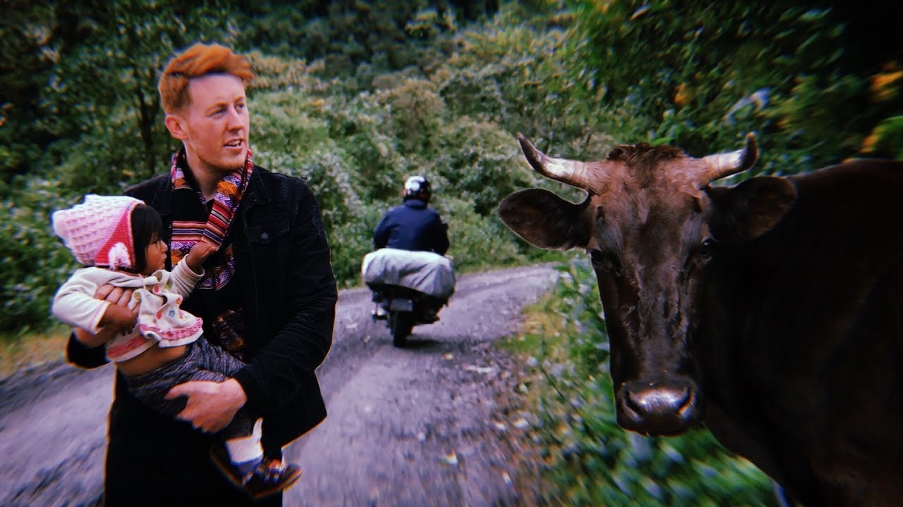 Herding Cows in Peru - YouTube