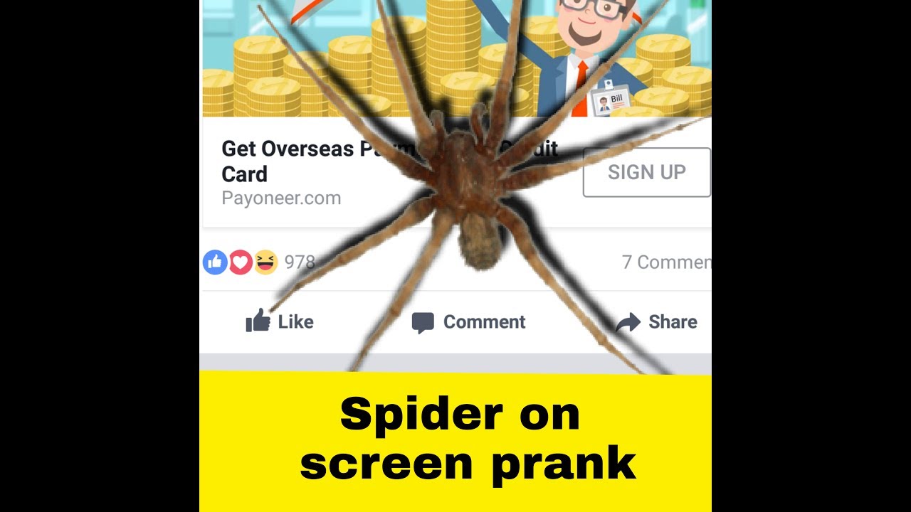Spider on screen prank video - YouTube