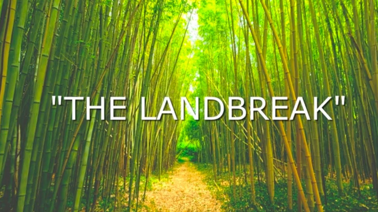 Chinese Bamboo Tree Motivational Story/ Bamboo Tree Motivational/The ...