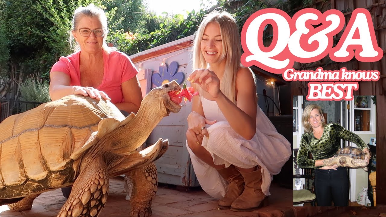 Q&A with Grandma Tiptoe - YouTube