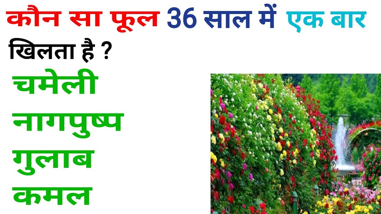 Gk Question || General Knowledge || Gk Quiz || Vicky Gk Study || - YouTube