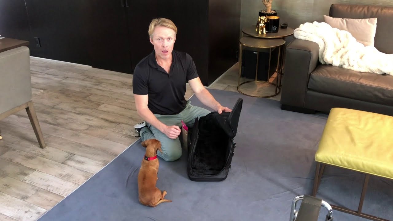 Dr. Patrick Mahaney Presents Why I Recommend the Sleepypod Assisi Loop ...