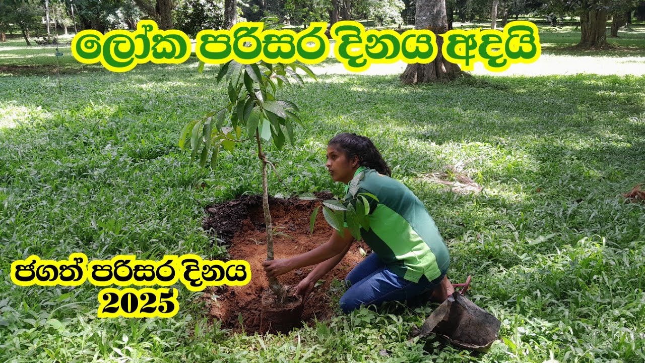 ලෝක පරිසර දිනය අදයි🪴🍀 | would Enviroment day june 05🌳🌿 | loka parisara ...