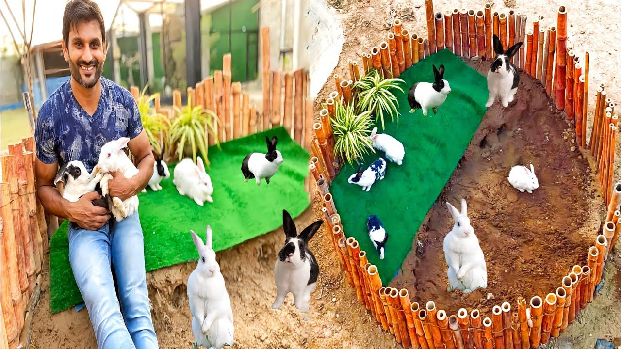 Rabbit Village Work Done😍🥰 Ab Boht Sare Rabbits Ayengy 🙂|RHF Pet House ...