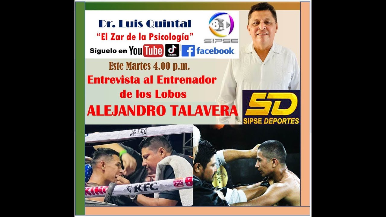 BOX AXEL HAFIT TALAVERA LOBOS - YouTube