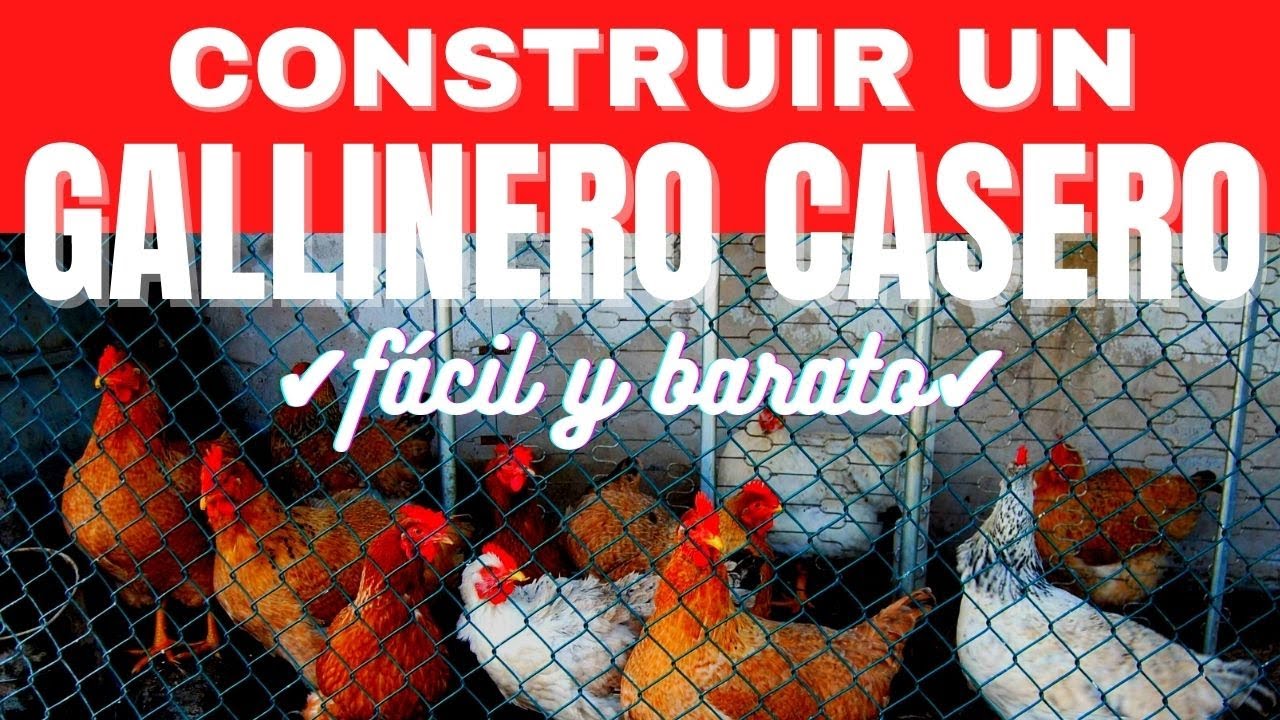 🐔COMO hacer un CORRAL para GALLINAS CASERO🏠🐔 👍FÁCIL Y 💲BARATO. ¡TE ...