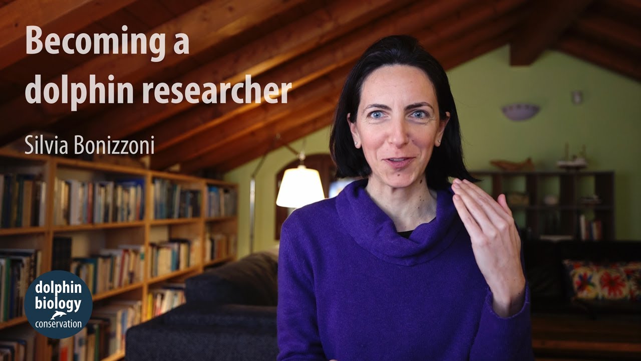 Becoming a dolphin researcher - YouTube