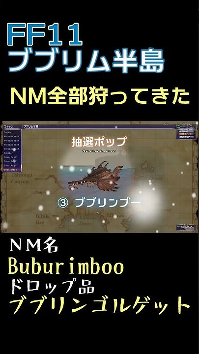FF11 NM HUNTER ブブリム半島 #shorts - YouTube