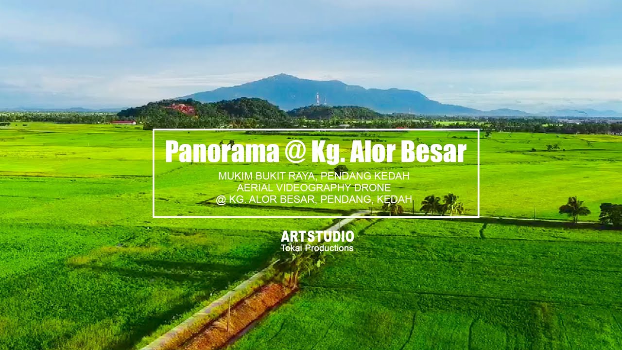 Keindahan Visual Sawah Padi Di Kedah
