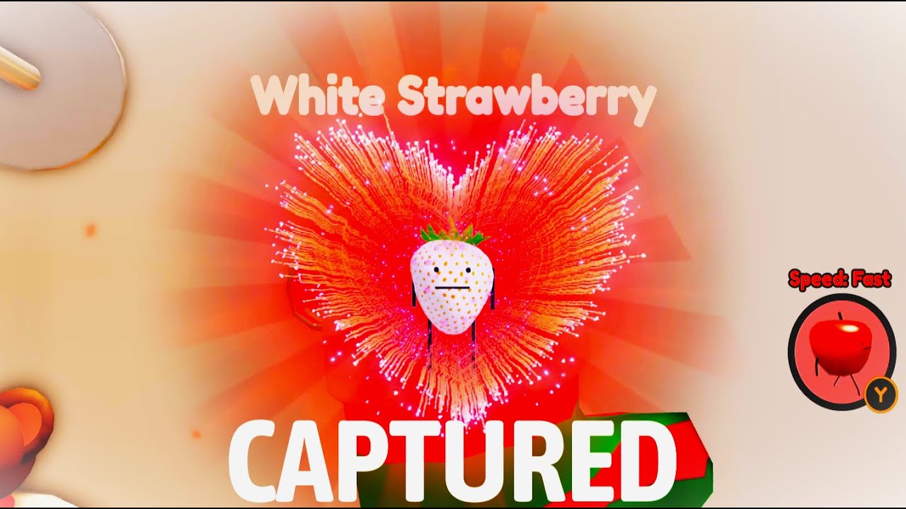 White Strawberry CAPTURED: Secret Staycation BaByLuNa - YouTube