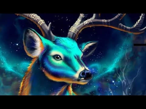 PERNELE DEL DESIERTO Dice: NO Imiten a curandera MURI, HAY QUE DEJARNOS ...