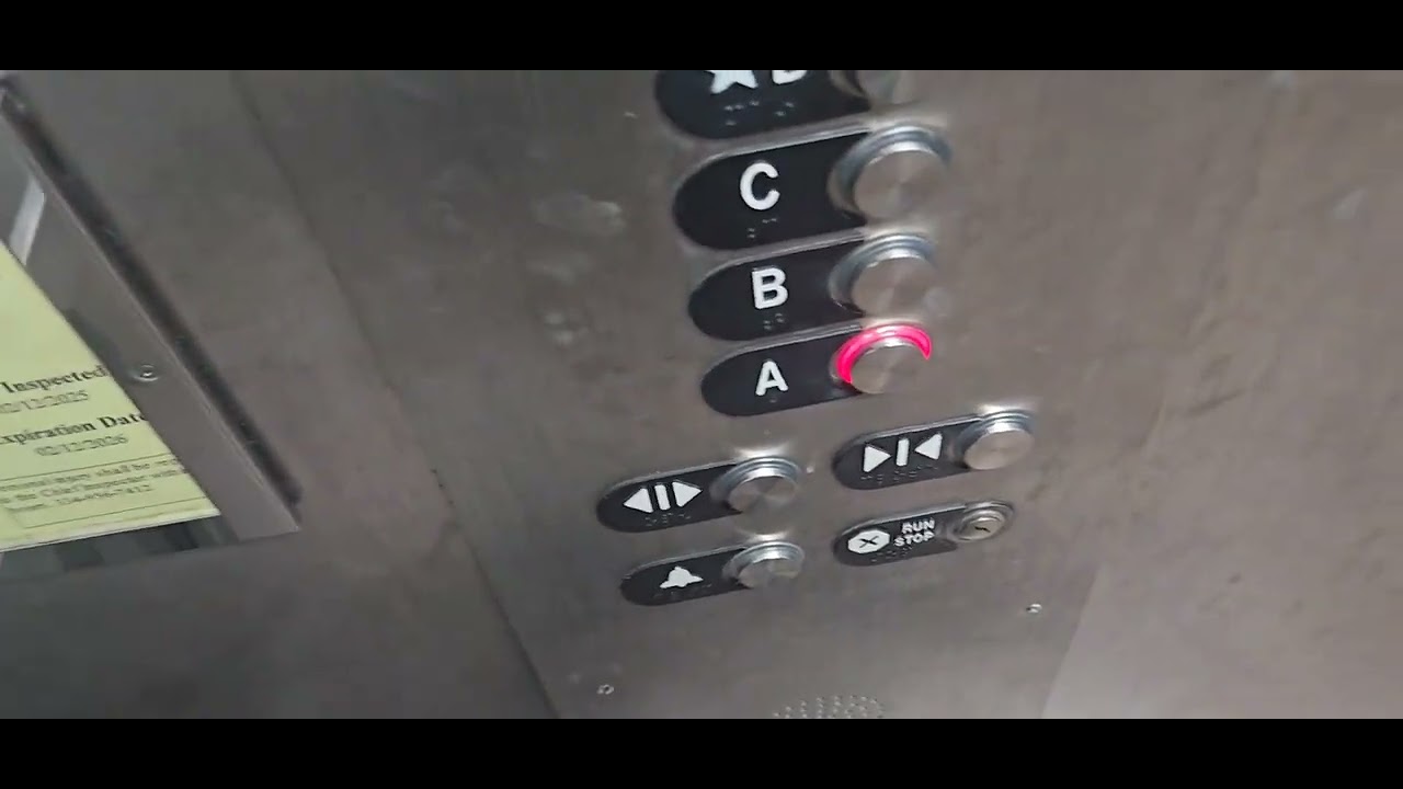 An elevator ride with a surprise guest! - YouTube