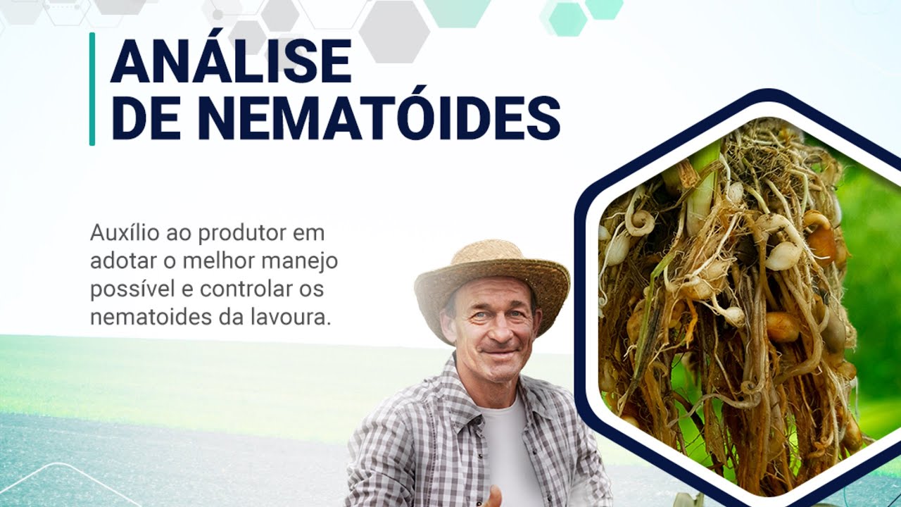 Como interpretar análise de Nematóides - YouTube