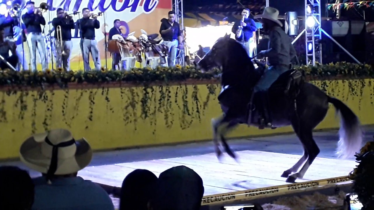 Expoferia la union, el mejor baile de caballo - YouTube