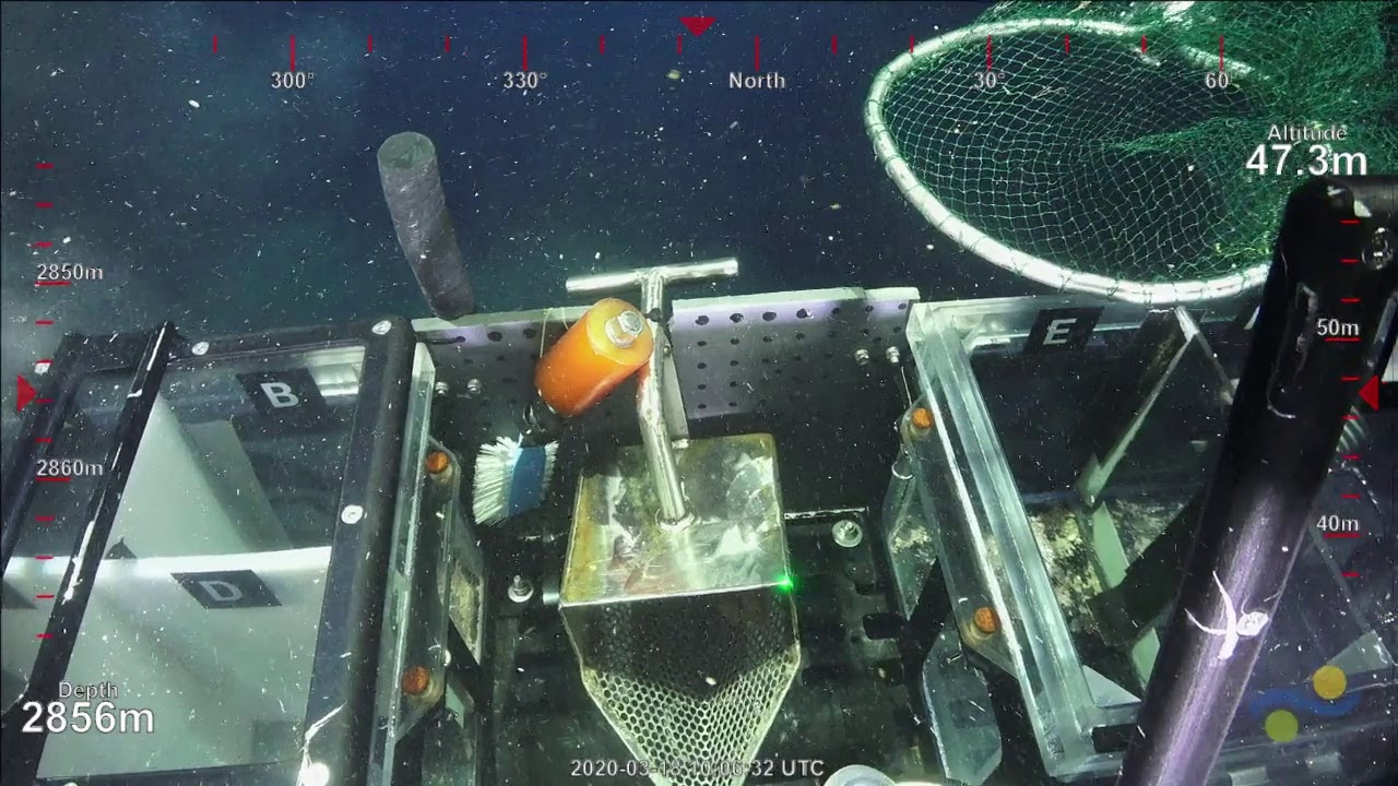 ROV SuBastian Dive 339 - Cape Range Canyon, Australia - FK200308 - YouTube
