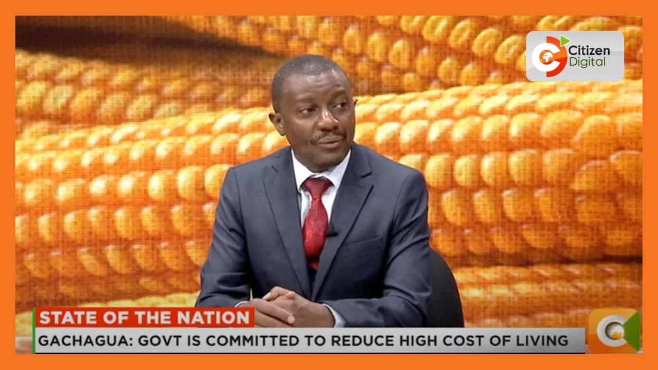 Senator Dan Maanzo: The cost of 'unga' has not gone down as expected by ...