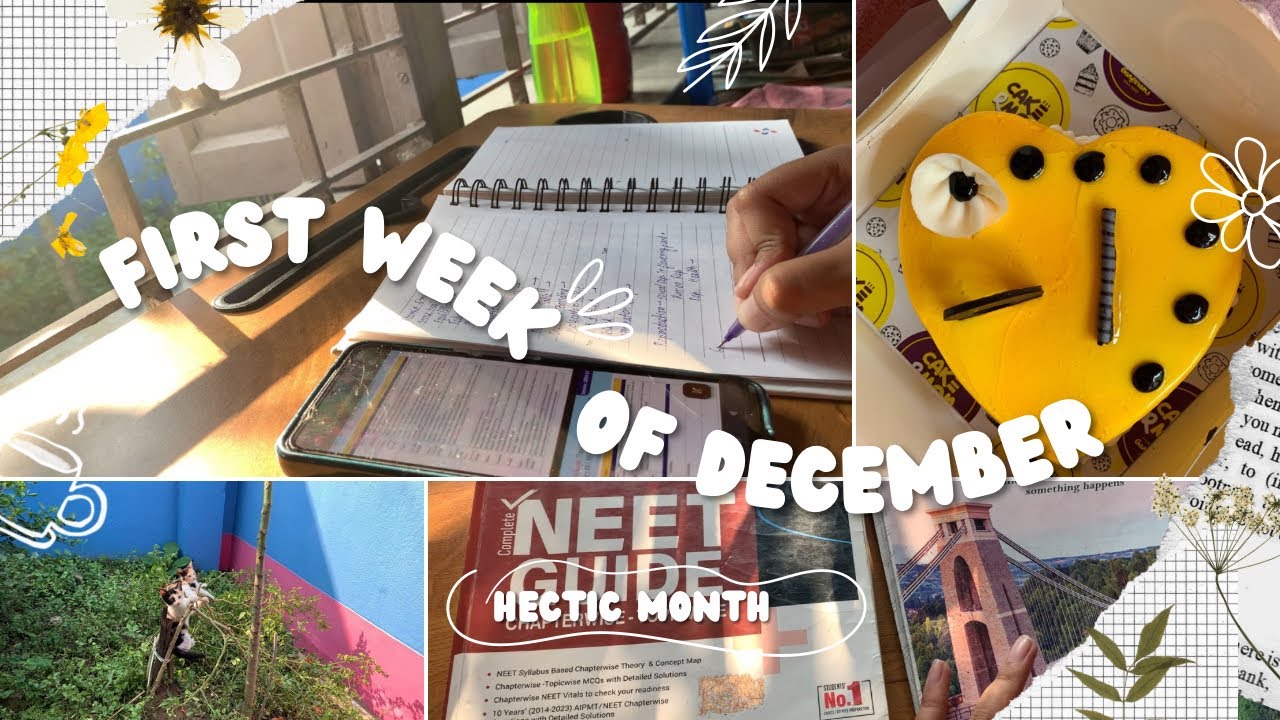 FIRST WEEK OF DECEMBER 💫| Hectic month 💖 | Study with productivity # ...