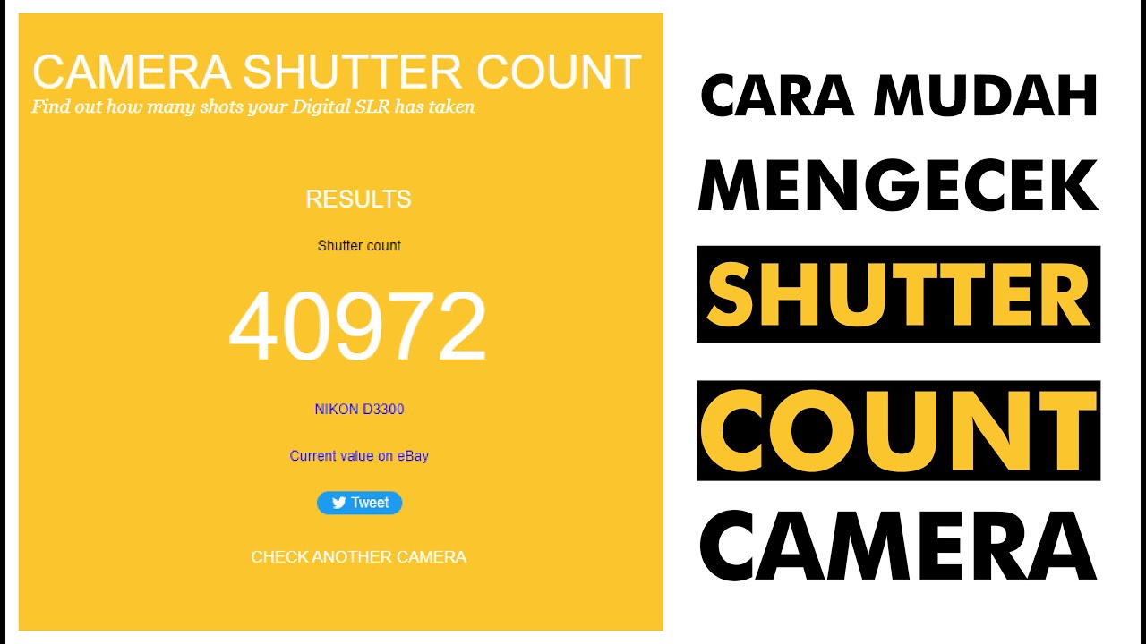 Cara Cek SC Shutter Count Kamera DSLR Mirrorless Melalui Website dengan Mudah dan Cepat - YouTube